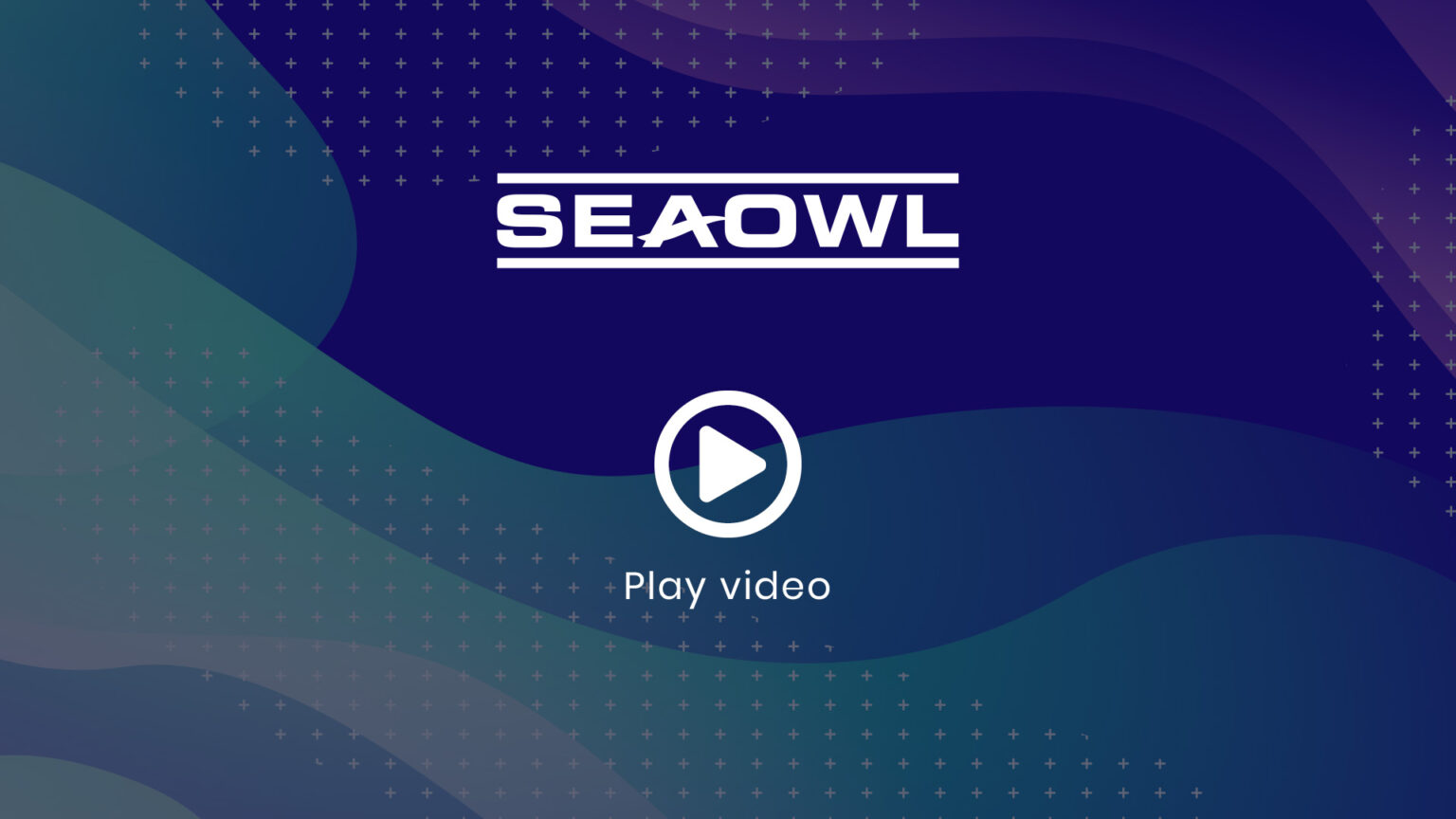 Navy Training - Seaowl Group